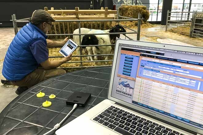 24U - our skill & story of our clients | 24U Software