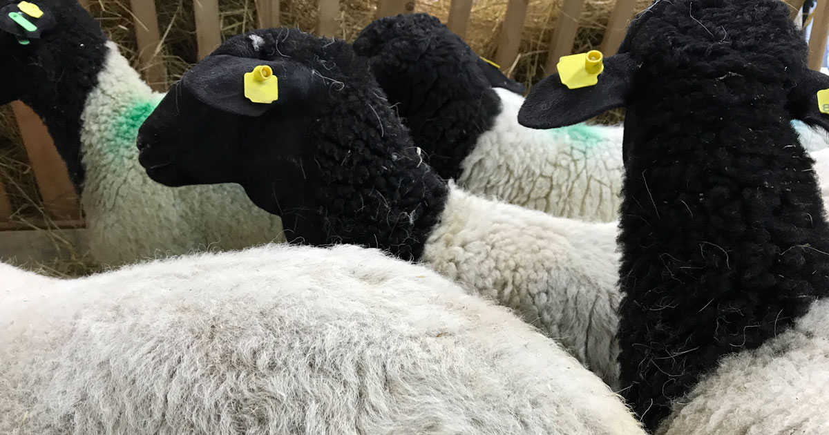 24U - our skill & story of our clients | 24U Software